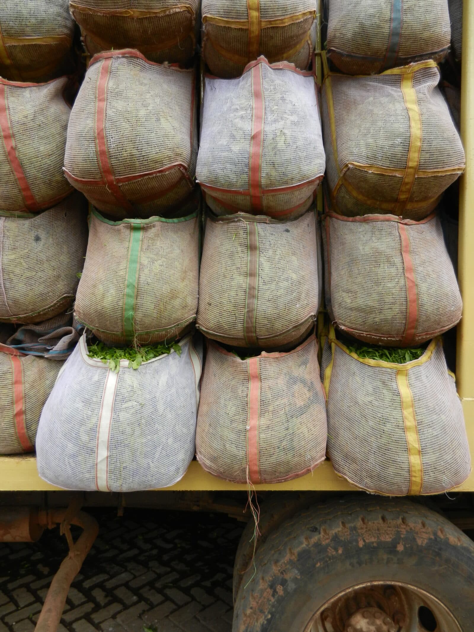 How tea is made and traded - THIRST